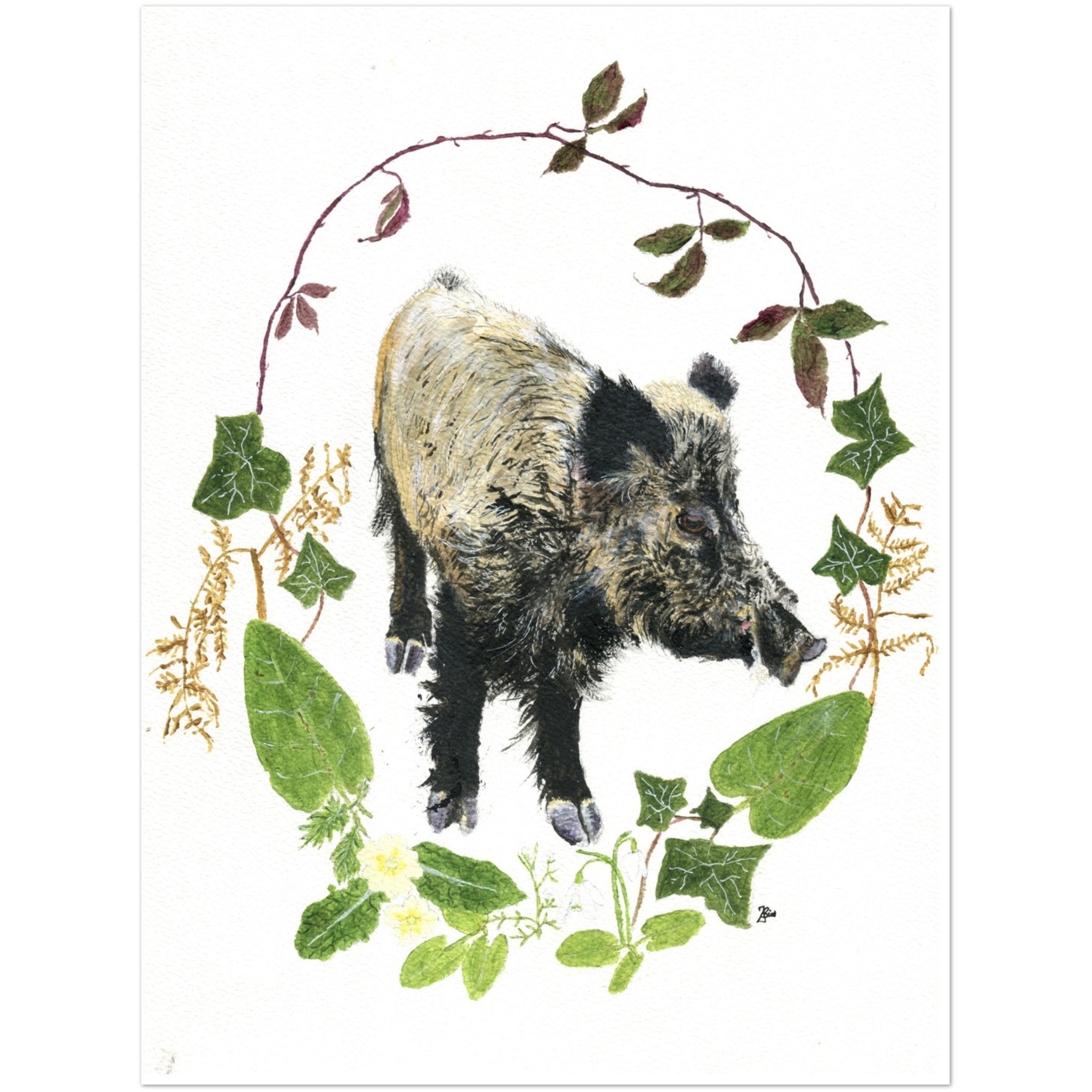 Spring Wild Boar print – Bird In France